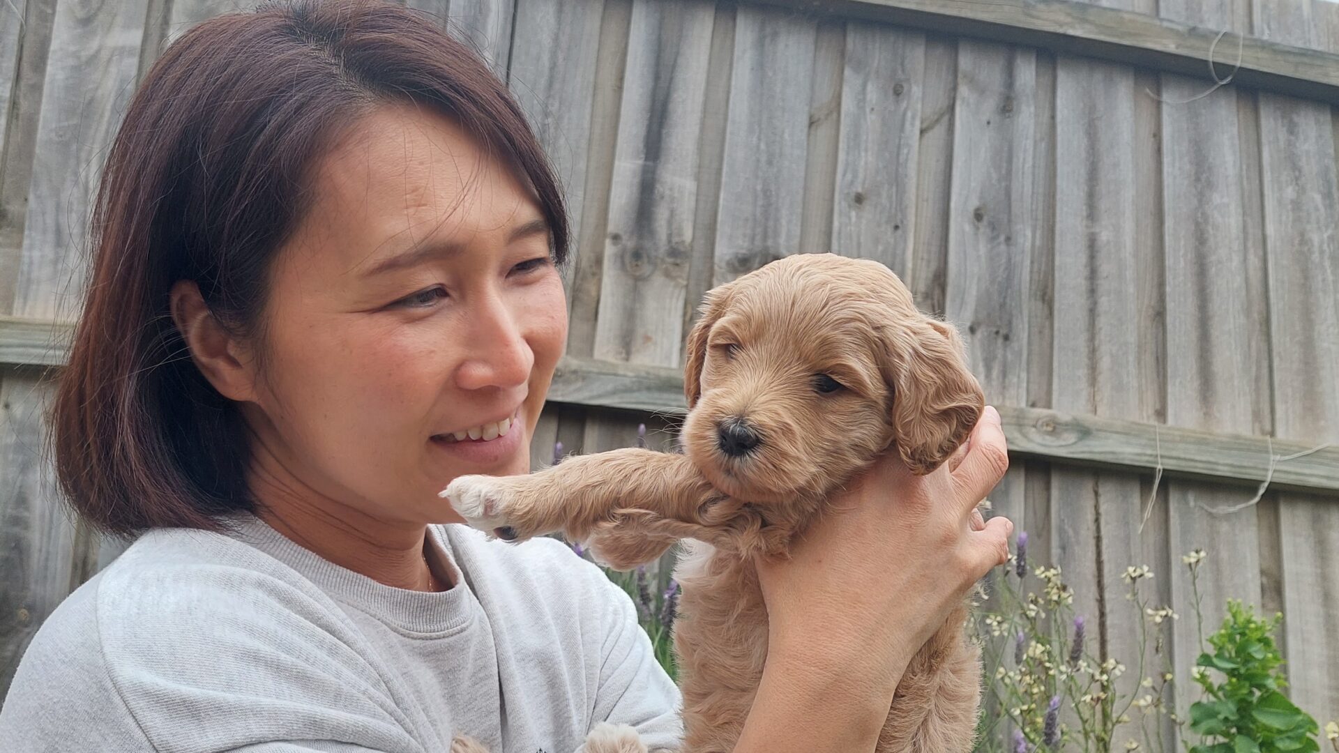 Happy Aupair and Homestay Agency